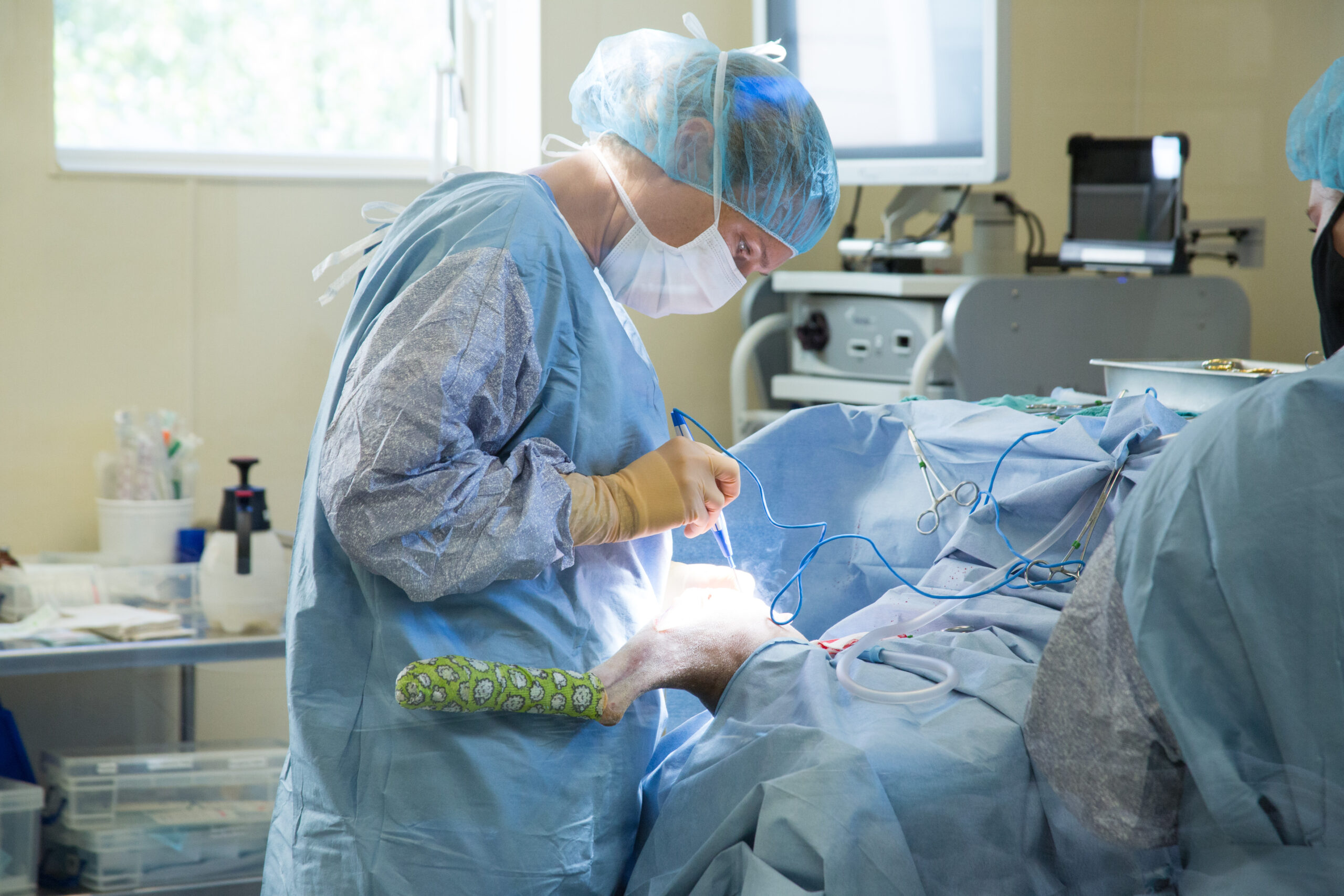 Pet Surgery: Soft Tissue & Orthopedics NJ - NorthStar VETS