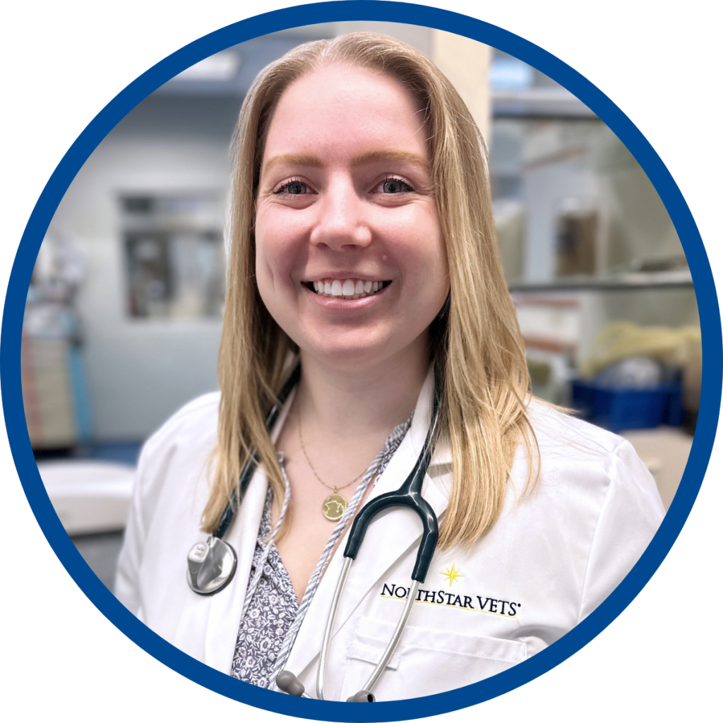 Our Team - NorthStar VETS