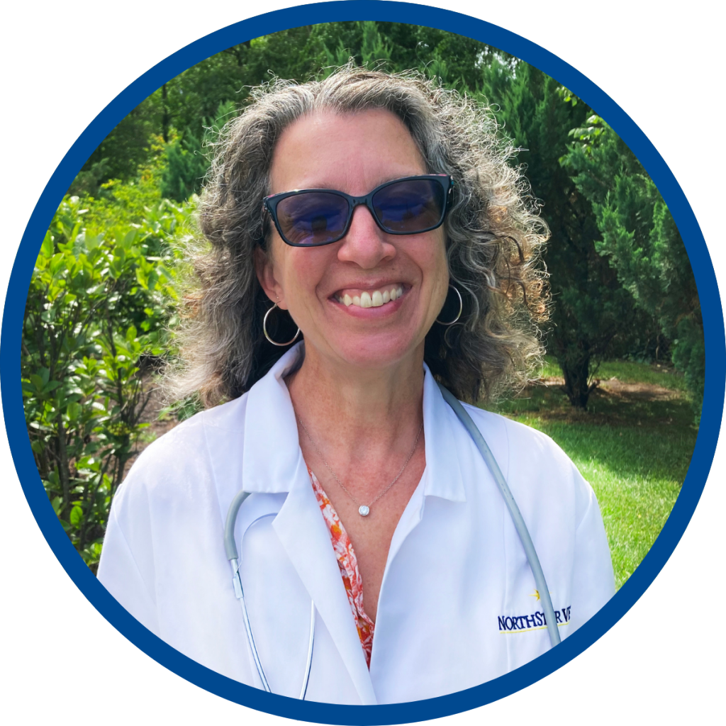 Our Team - NorthStar VETS